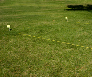 Park and Sun Sports - Complete your bocce set, with a 1/4 inch rope ...